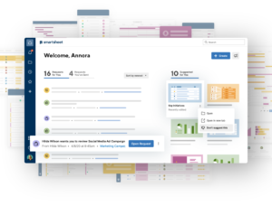 Project Management with Smartsheet | vSaaS Global
